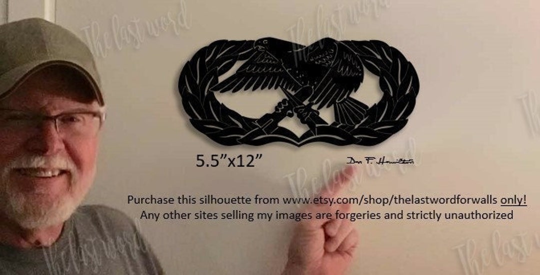 USAF 5-level Basic Aircraft Maintenance Badge Silhouette! You Earned It ...