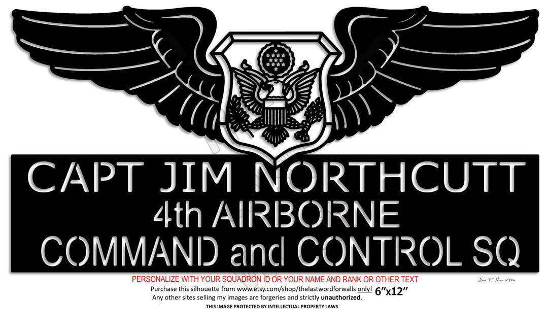 NRO Wings (non-rated Officer) Aircrew Personalized USAF Silhouette ...