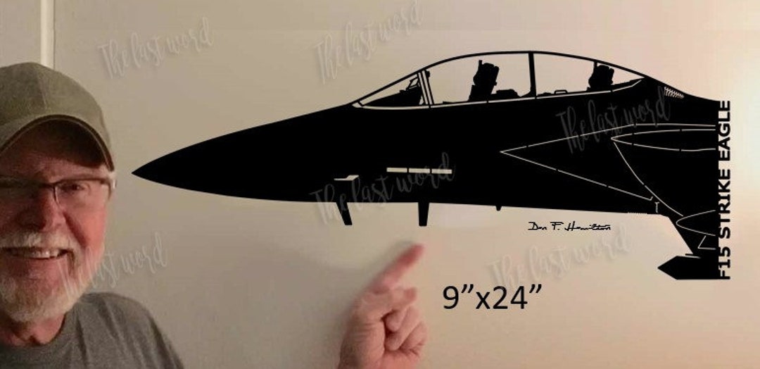 F-15 Strike Eagle Nose & Cockpit Inlet Duct Down Fighter - Etsy