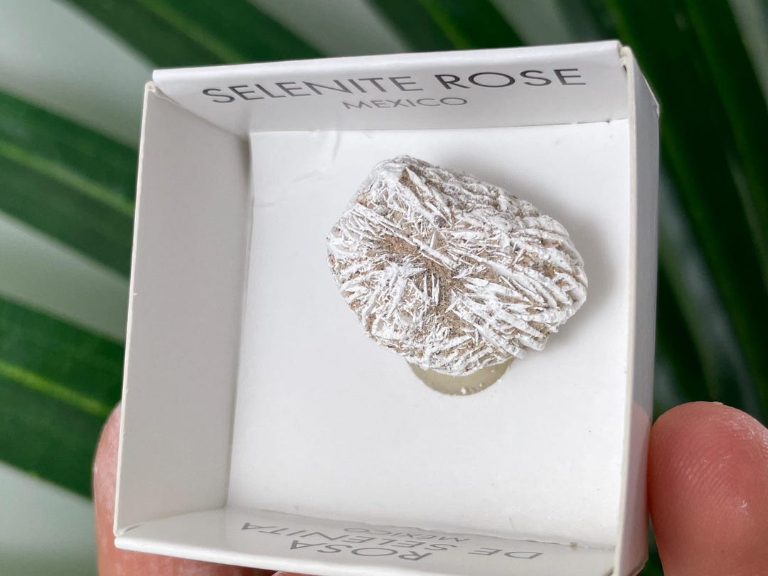 Selenite Rose From Mexico – Gypsum Desert Rose Crystal,mineral ...
