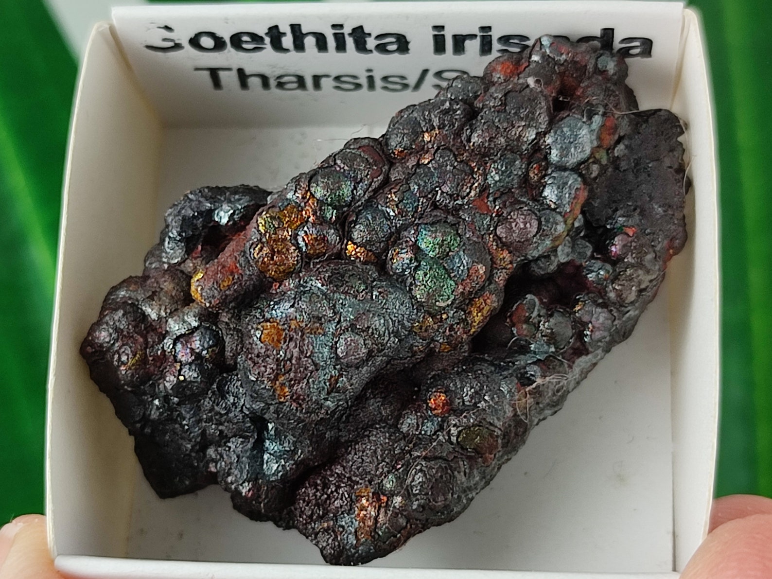 Iridescent Geothite From Spain, Geothite Crystal,iridescent Crystal ...