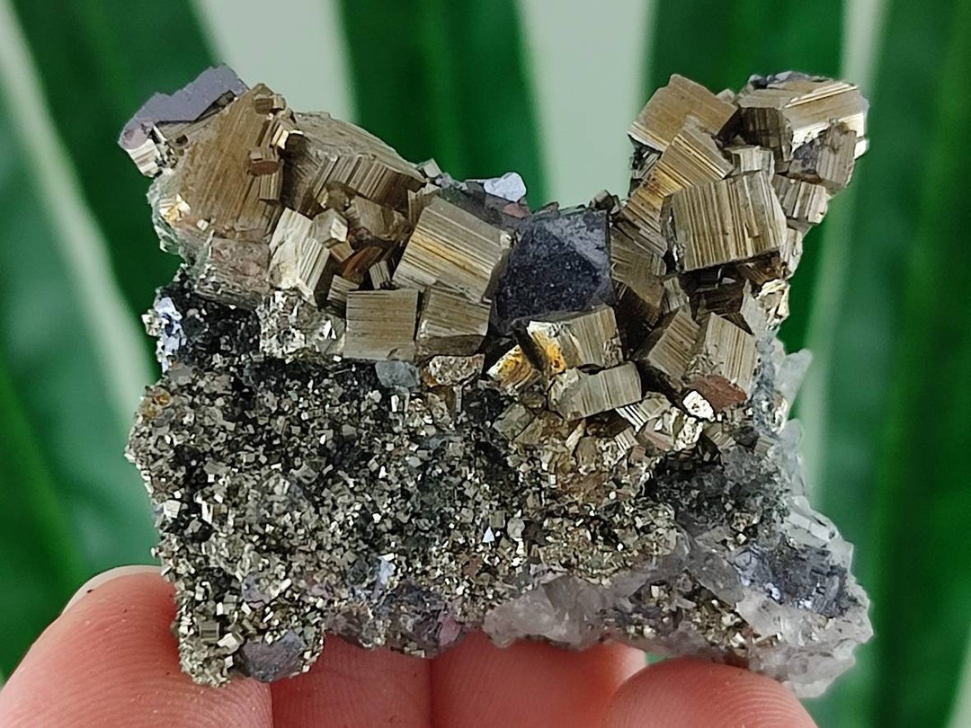 Amazing Pyrite on Matrix From Borieva Mine,madan Ore Field,rhodope Mts ...