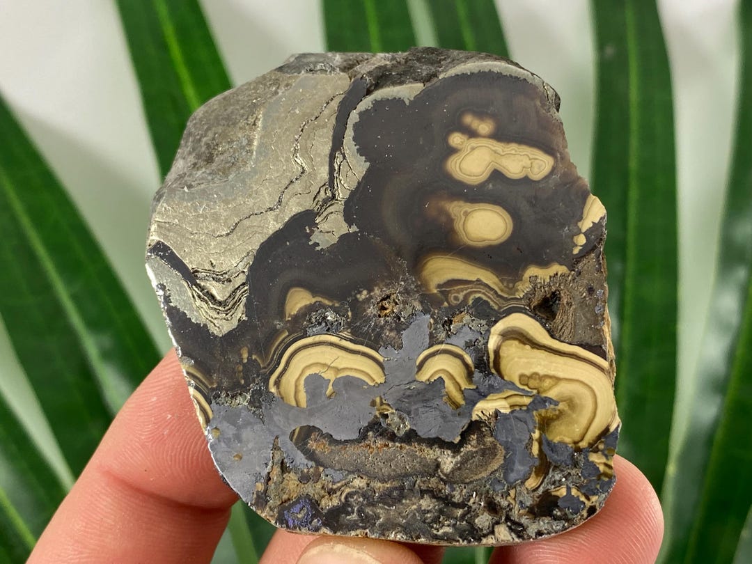 Sphalerite and Galena( Challenblende):pomorzany Mine Poland,minerals ...