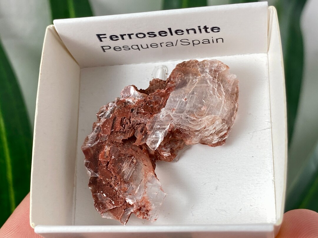 Very Rare Ferro Selenite From La Pesquera, Cuenca,castile-la Mancha ...