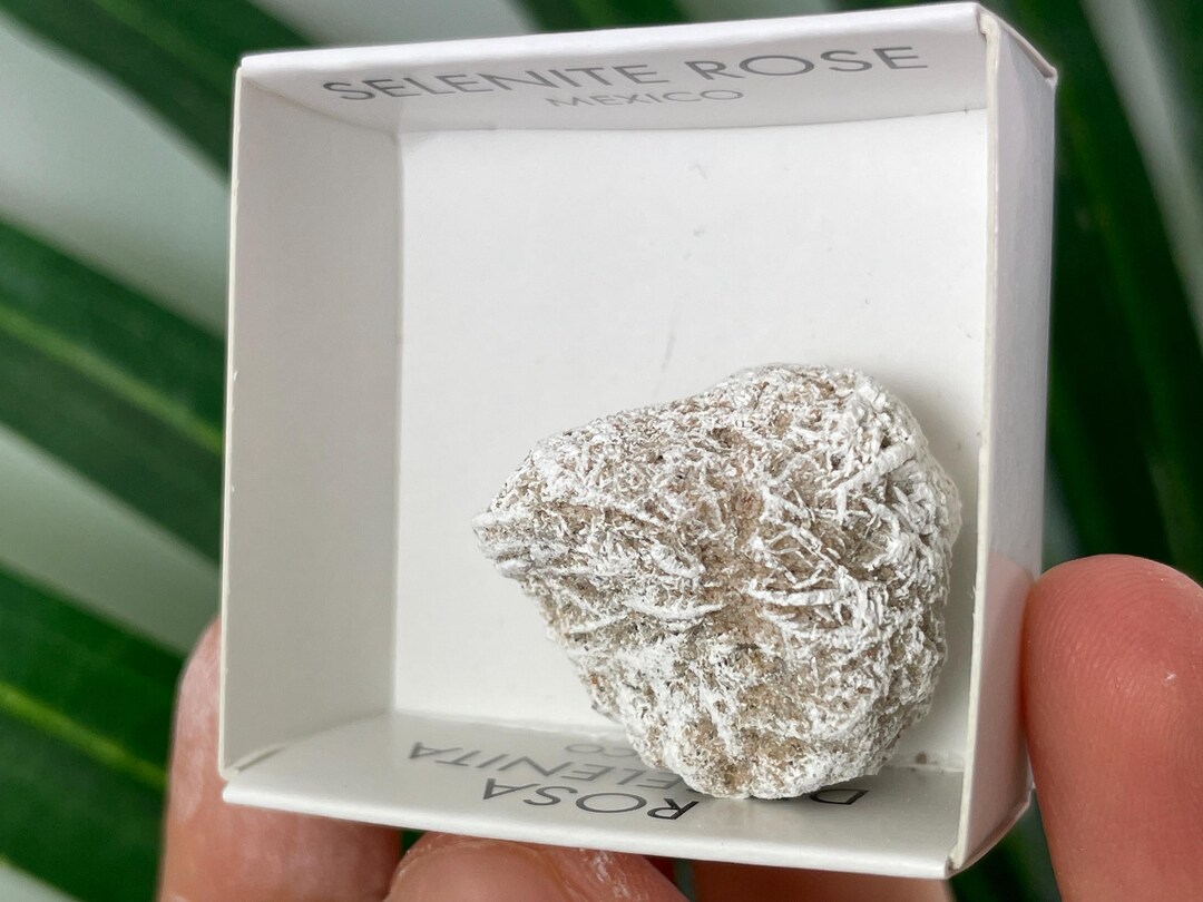 Selenite Rose From Mexico – Gypsum Desert Rose Crystal,mineral ...