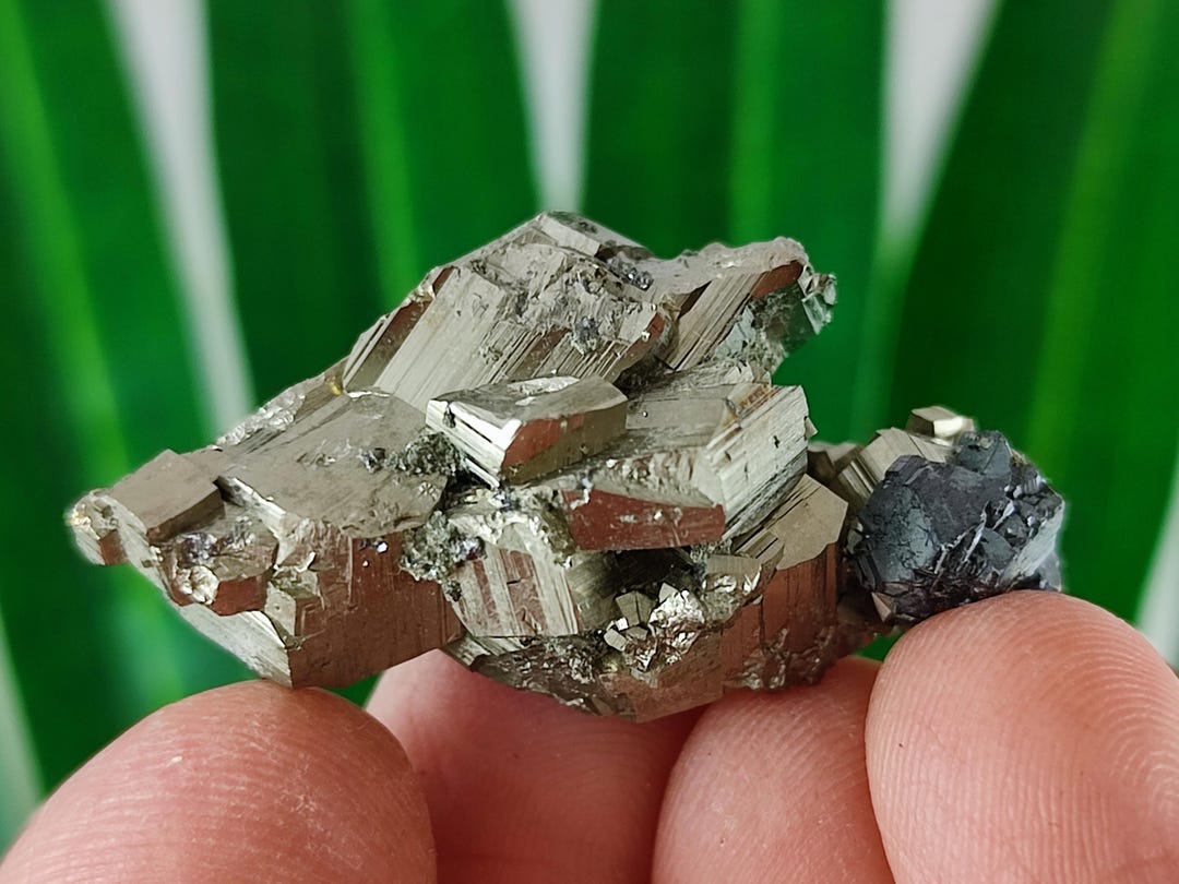 Rare Pyrite With Sphalerite From Borieva Mine,madan Ore Field,rhodope ...