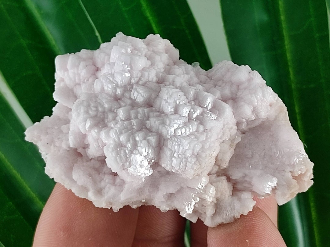 Pink Mangano Calcite From Krushev Dol Mine,madan Ore Field,rhodope Mts ...