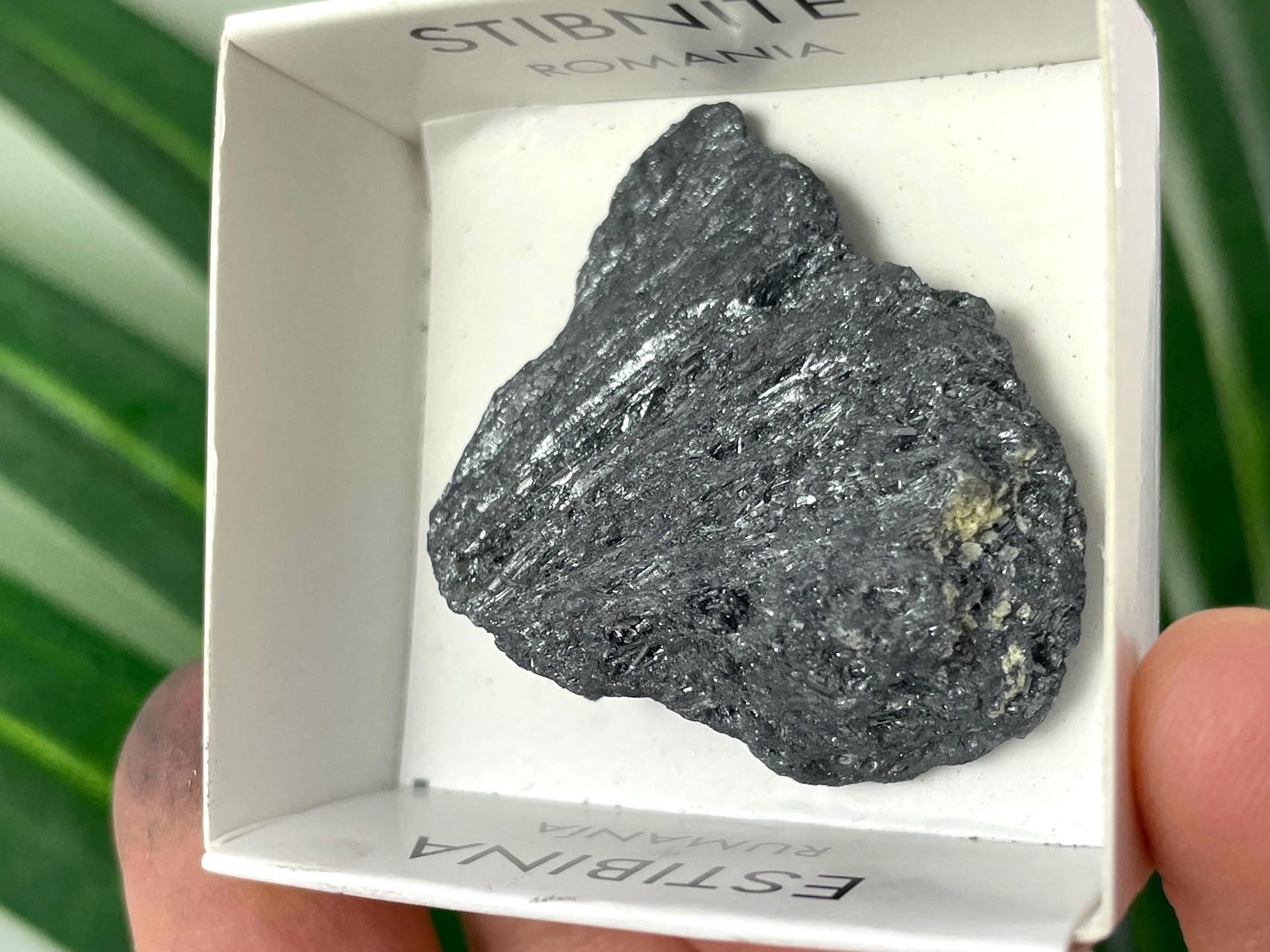 Antimonita de estibina natural de Rumanía: cristal metálico afilado ...
