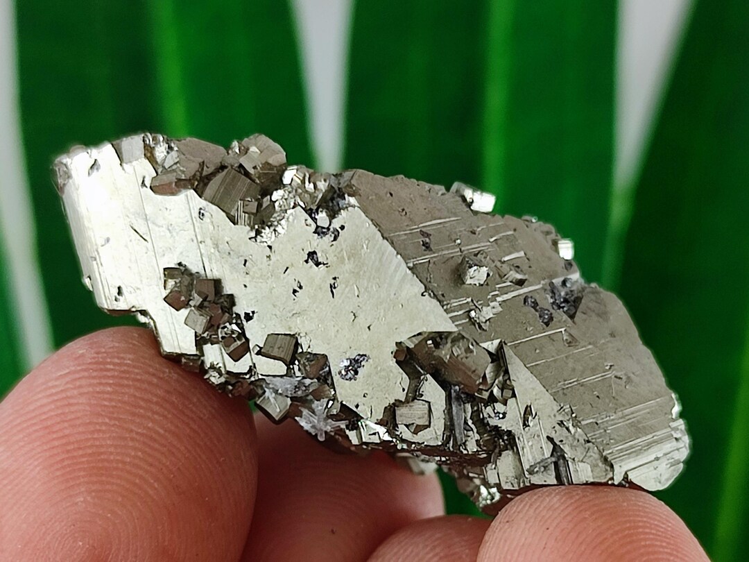 Very Rare Crystallization Pyrite From Borieva Mine,madan Ore Field ...