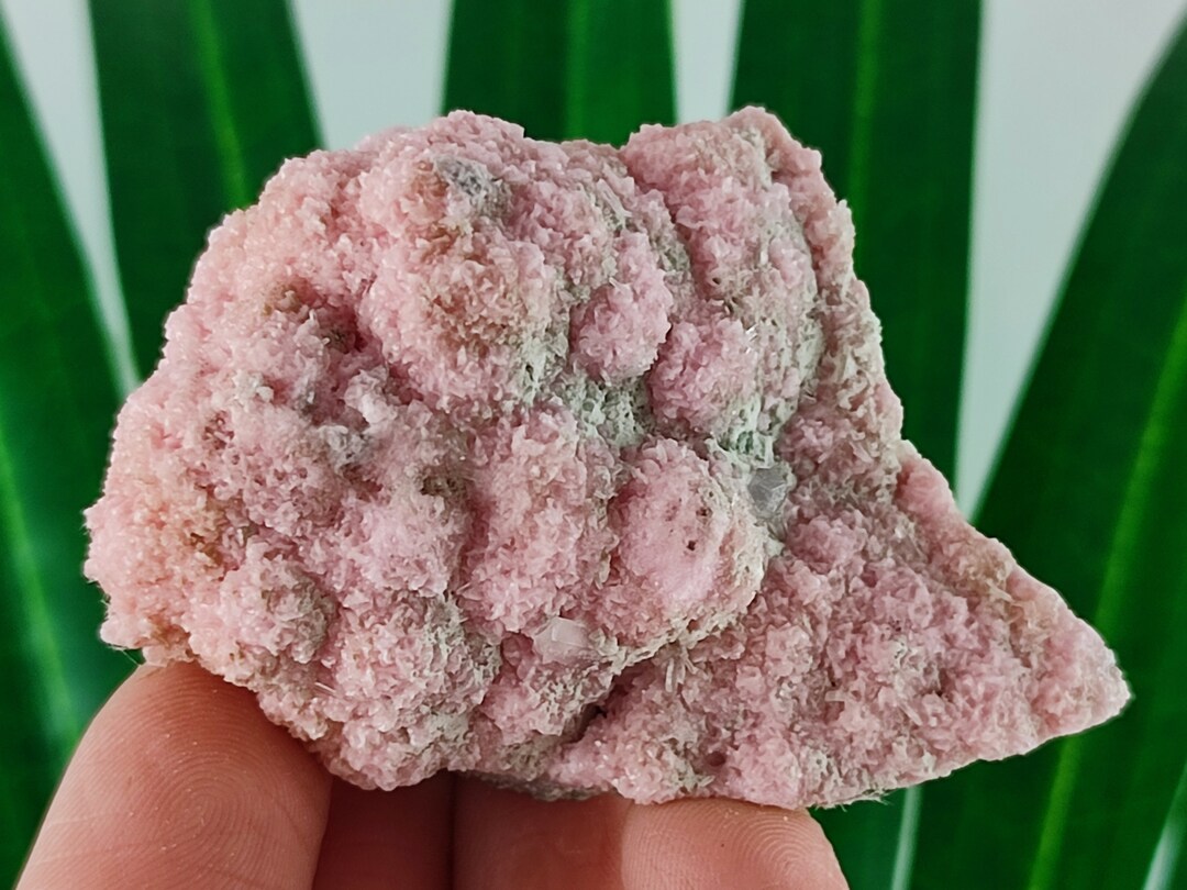 Rare Rhodochrosite From Davidkovo Ore Filed,bulgaria,pink Crystal ...