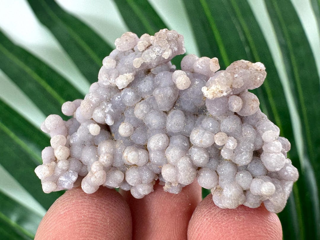 Grape Agate From Indonesia – Botryoidal Chalcedony Cluster – Natural ...