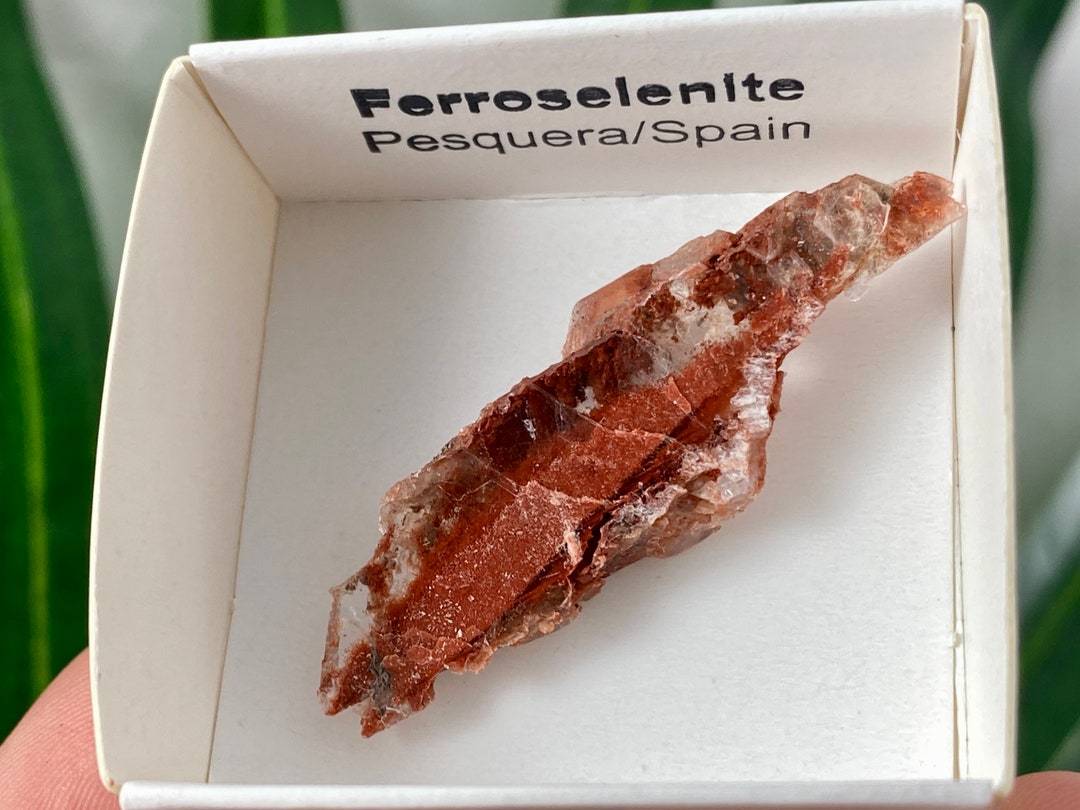 Very Rare Ferro Selenite From La Pesquera, Cuenca,castile-la Mancha ...