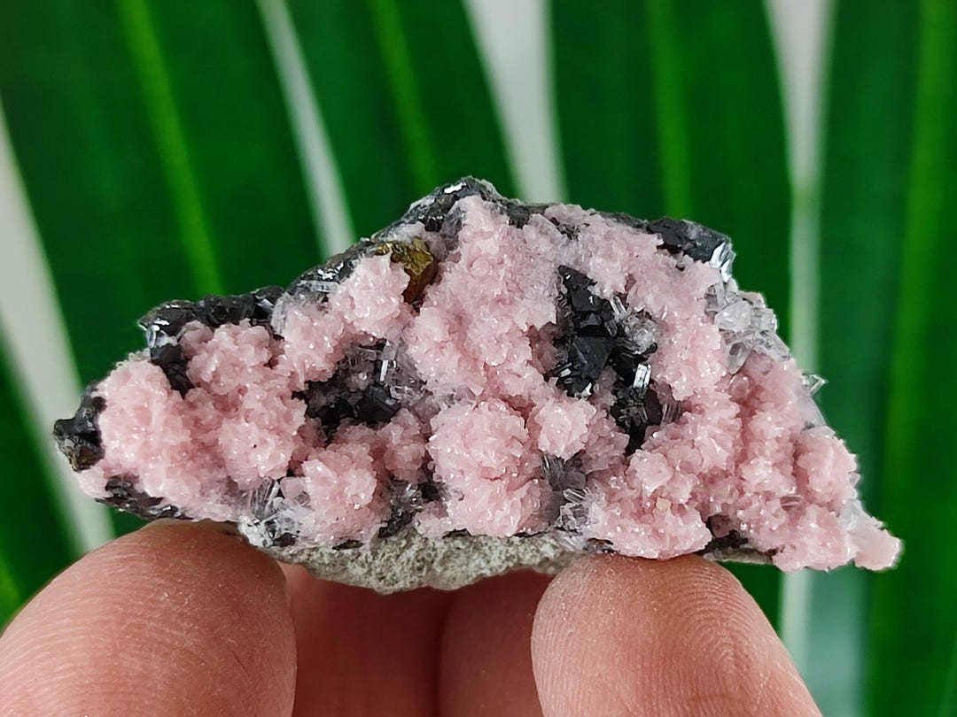 Rare Rhodochrosite With Sphalerite, Galena,quartz From Davidkovo Ore ...