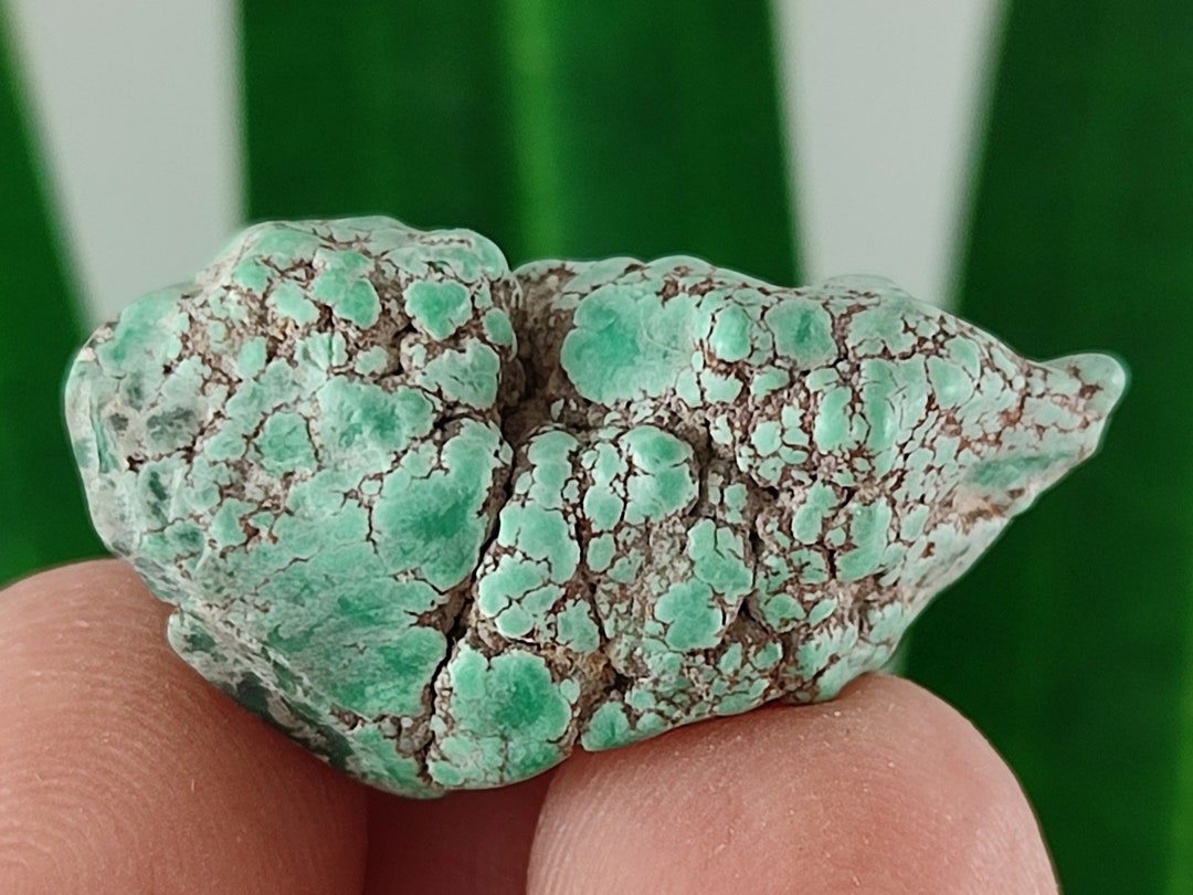 Rare Green VARISCITE From Palazuelo Spain,variscite,variscite From ...