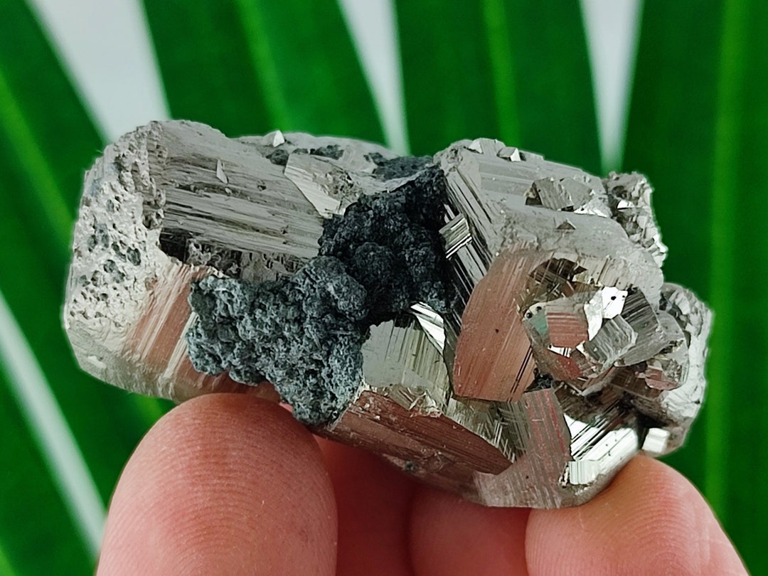 Amazing Golden Pyrite ,chlorite From Borieva Mine,madan Ore Field ...