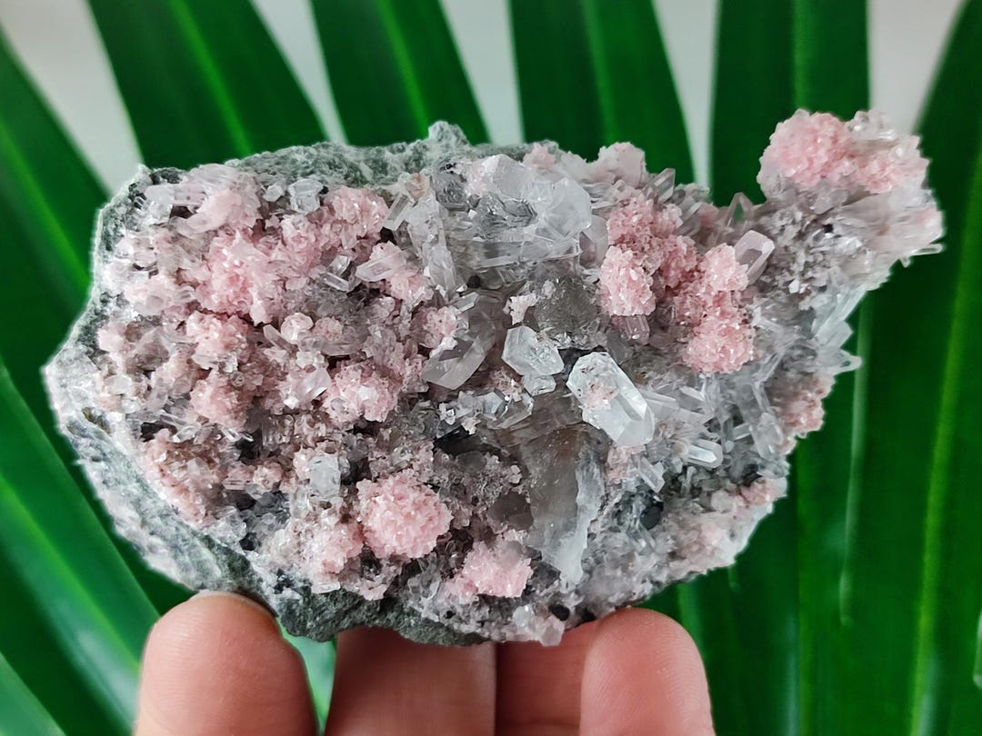 Rare Rhodochrosite With Quartz From Davidkovo Ore Filed,bulgaria,pink ...