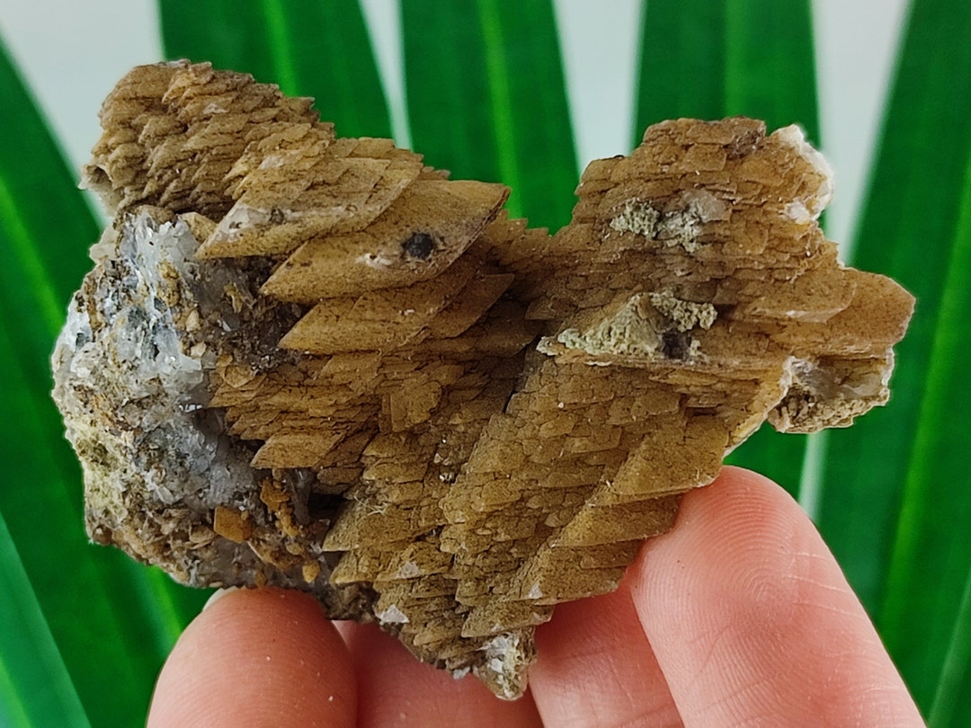 Very Rare Calcite From Borieva Mine,madan Ore Field,rhodope Mts,smolyan ...