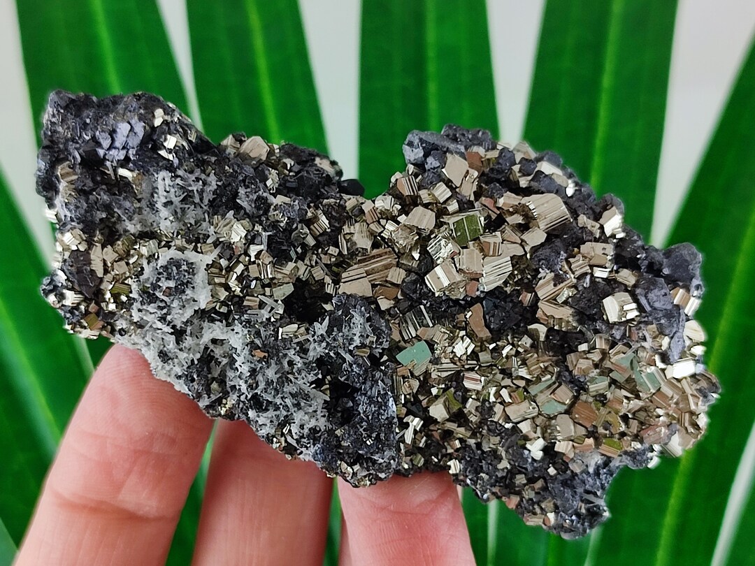 Amazing Golden Pyrite With Sphalerite From Borieva Mine,madan Ore Field ...
