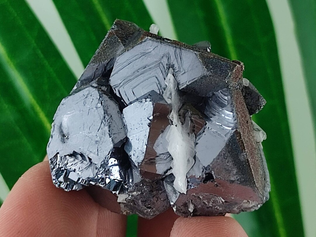 Cubes Galena From Krushev Dol Mine,madan Ore Field,rhodope Mts,smolyan ...
