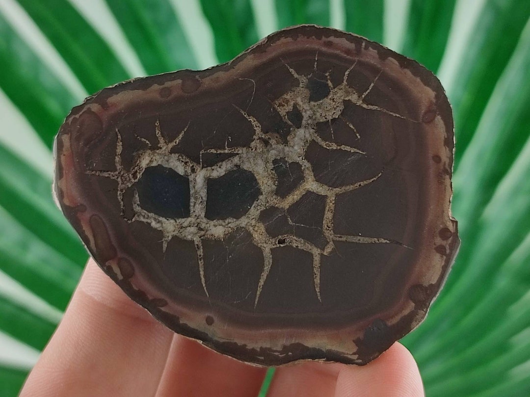 Beautiful Septarian Nodule Geode From Morocco ,natural Crystal,home ...