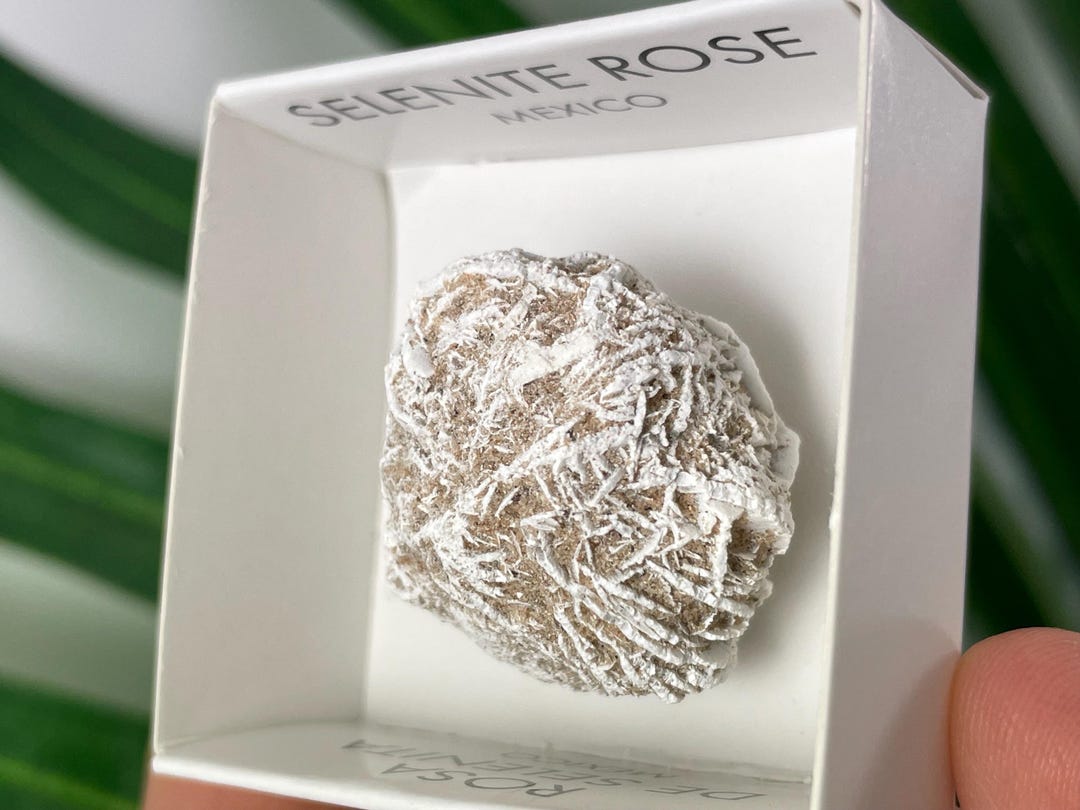 Selenite Rose From Mexico – Gypsum Desert Rose Crystal,mineral ...