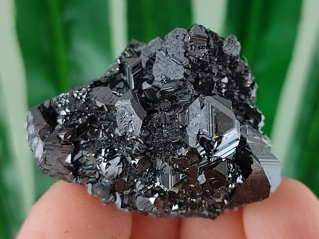 Black Sphalerite From Krushev Dol Mine,madan Ore Field,rhodope Mts ...
