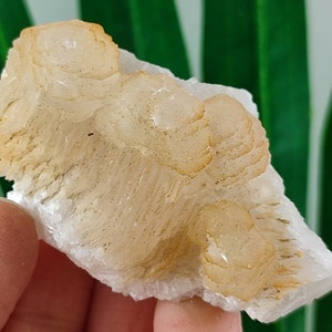 Rare Calcite on Quartz From Krushev Dol Mine,madan Ore Field,rhodope ...