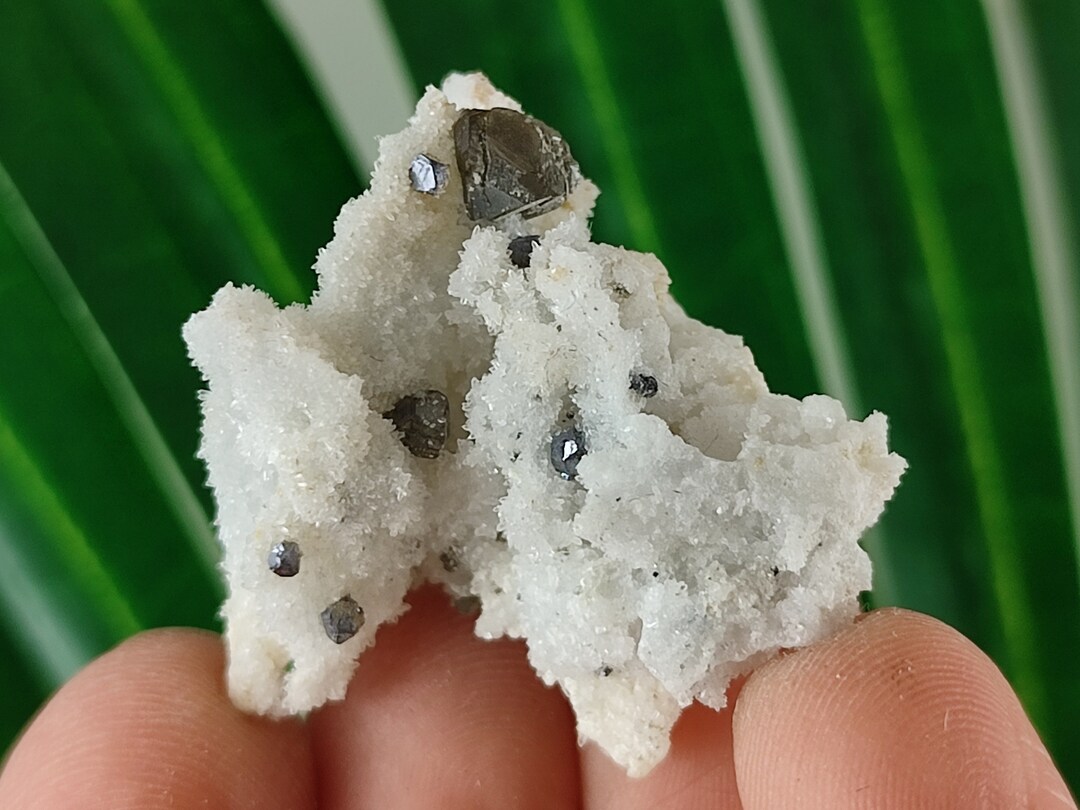 Gem Sphalerite on Quartz From Krushev Dol Mine,madan Ore Field,rhodope ...