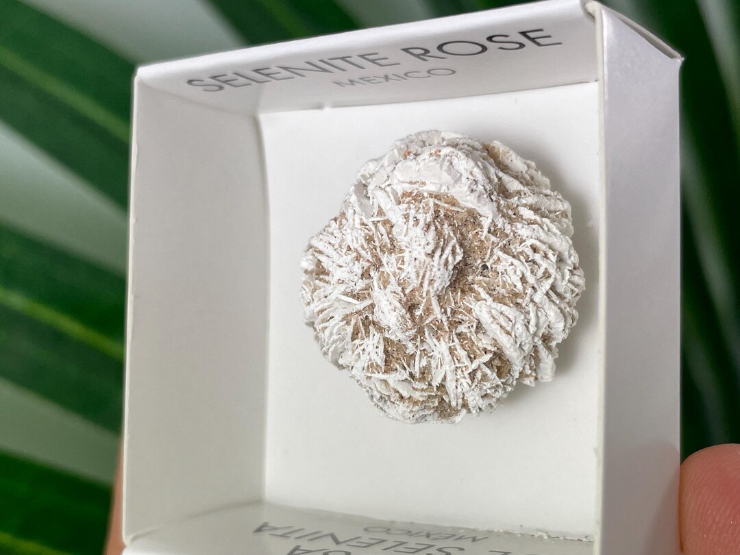 Selenite Rose From Mexico – Gypsum Desert Rose Crystal,mineral ...