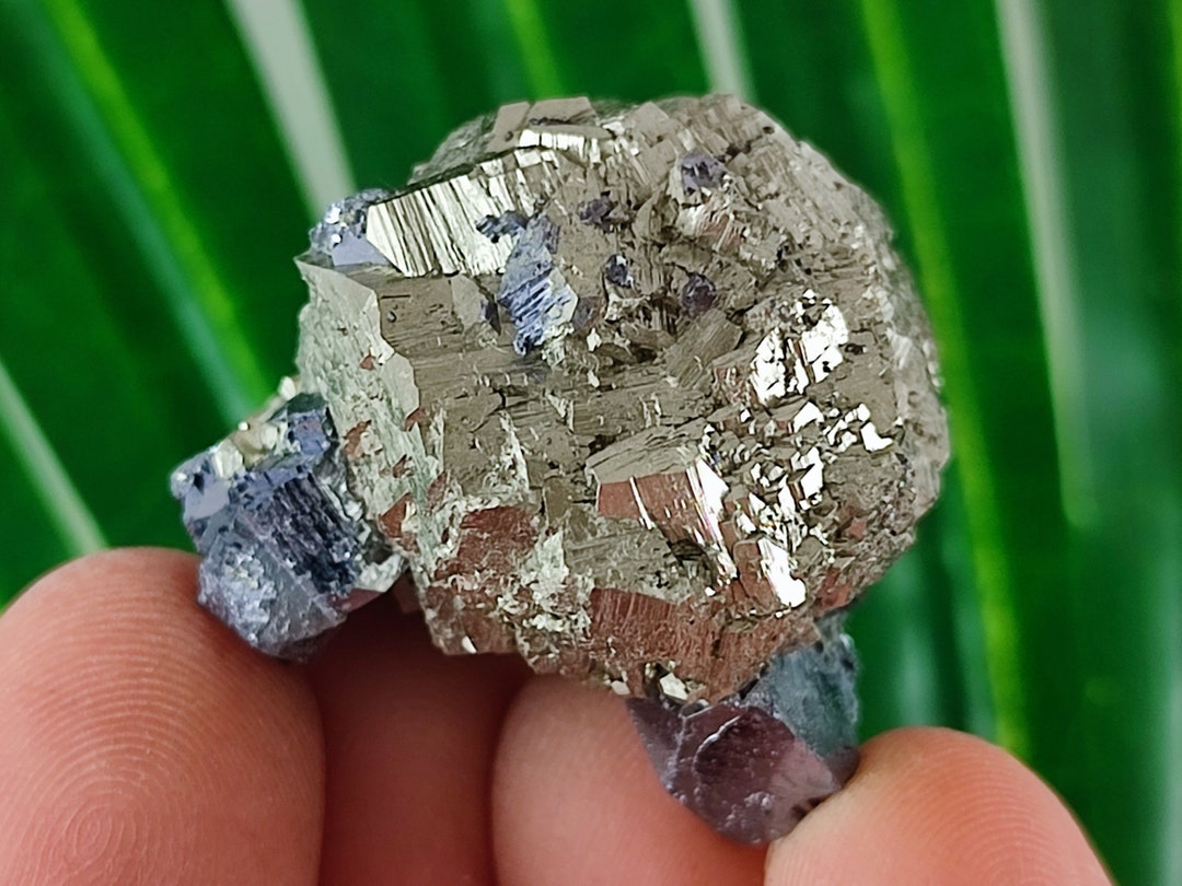 Very Rare Pyrite With Galena From Borieva Mine,madan Ore Field,rhodope ...