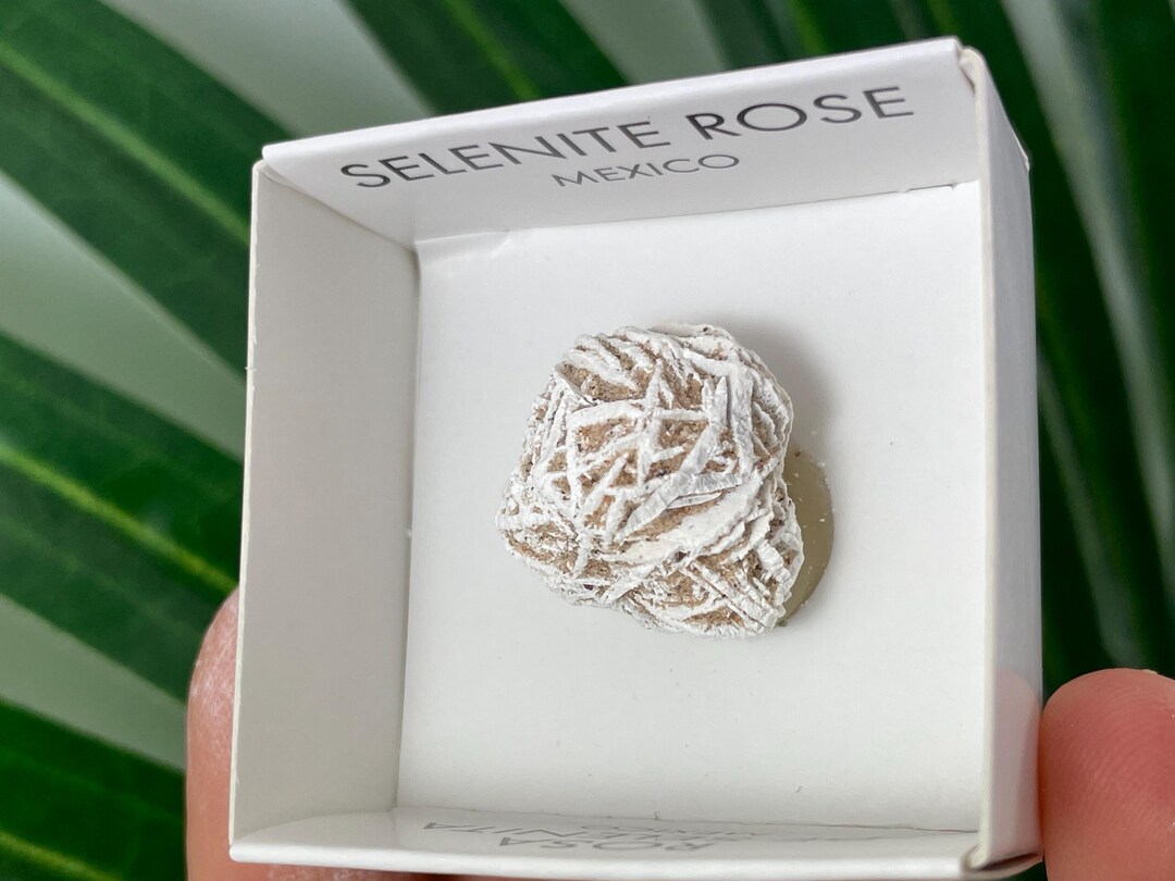 Selenite Rose From Mexico – Gypsum Desert Rose Crystal,mineral ...
