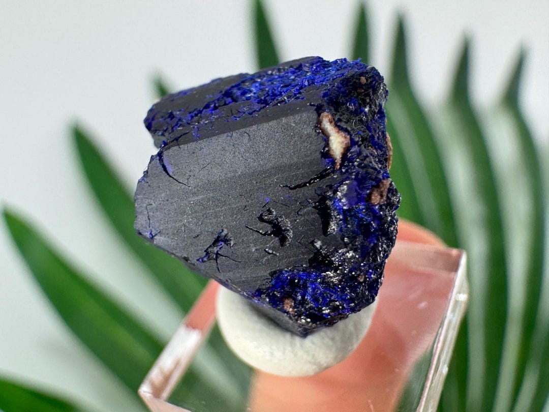 Mini Azurite: Morocco, Minerals and Crystals Azurite Collection,azurite ...