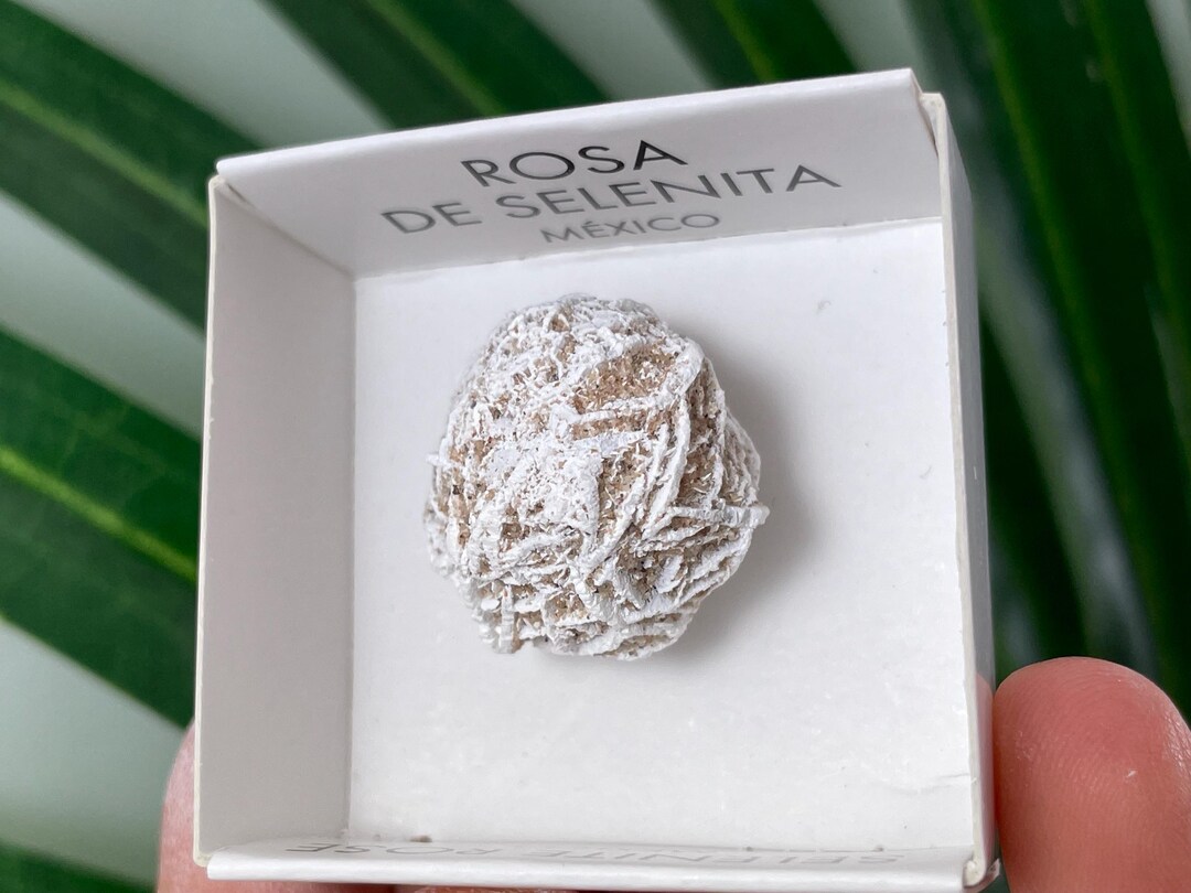 Selenite Rose From Mexico – Gypsum Desert Rose Crystal,mineral ...