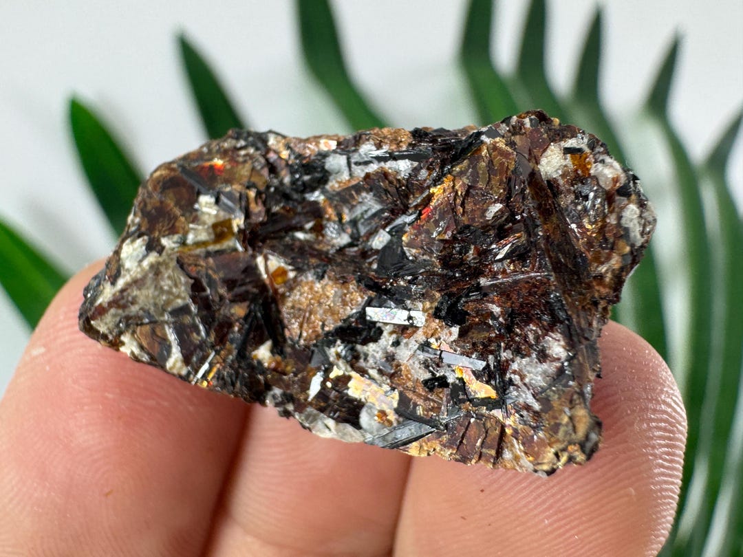 Astrophyllite: Russia – Natural Mineral With Bronze-gold Shine,mineral ...