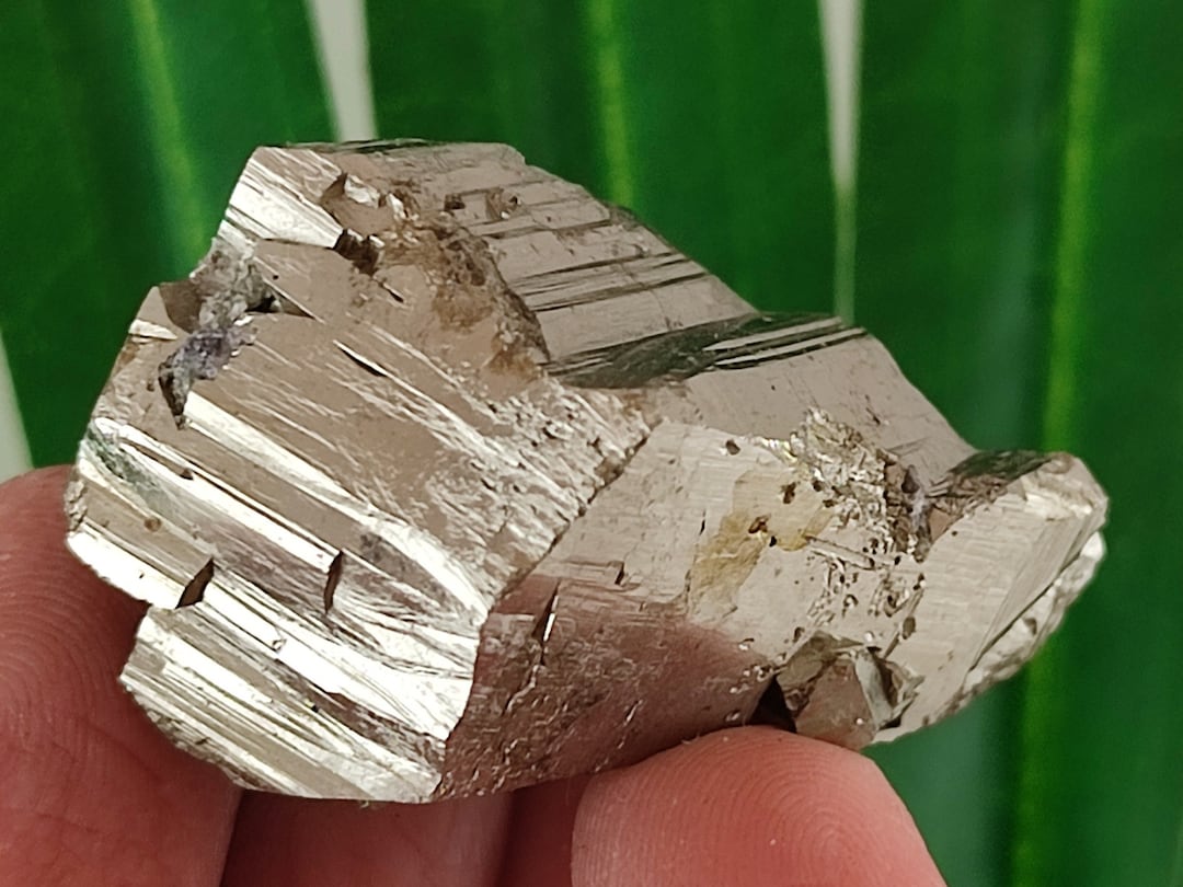 Rare and Shiny Pyrite From Borieva Mine Madan Ore Field,rhodope Mts ...