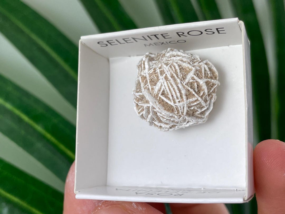 Selenite Rose From Mexico – Gypsum Desert Rose Crystal,mineral ...