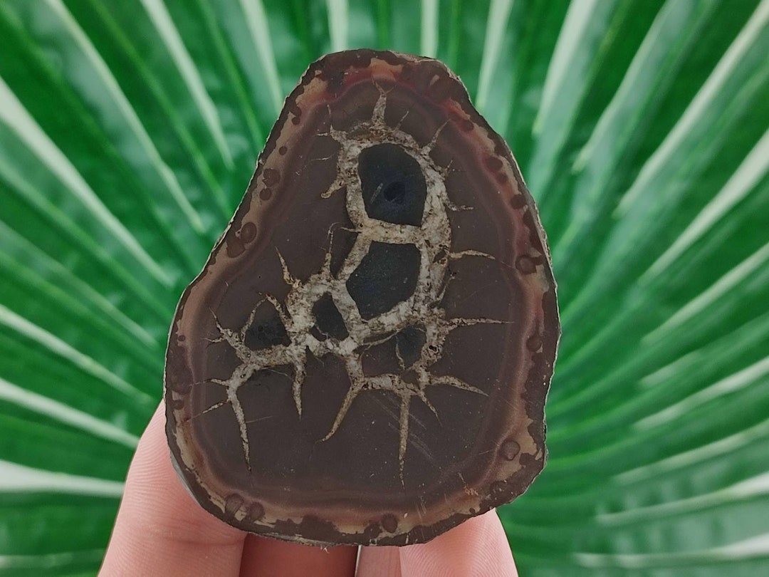 Beautiful Septarian Nodule Geode From Morocco ,natural Crystal,home ...