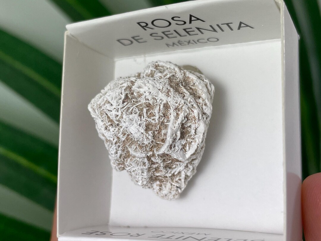 Selenite Rose From Mexico – Gypsum Desert Rose Crystal,mineral ...