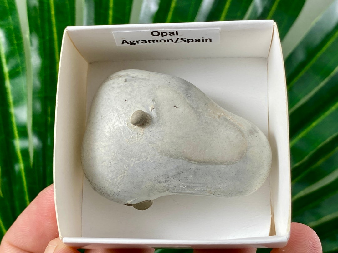 Amazing Opal From Agramon,spain,mineral,specimen,crystal Mineral ...