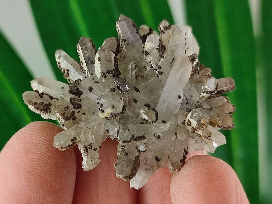 Beautiful Quartz With Brown Calcite From 9th September Mine,madan Ore ...