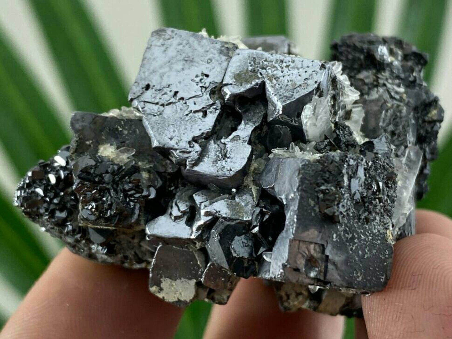 Beautiful Lustrous Galena From Borieva Minemadan Ore - Etsy