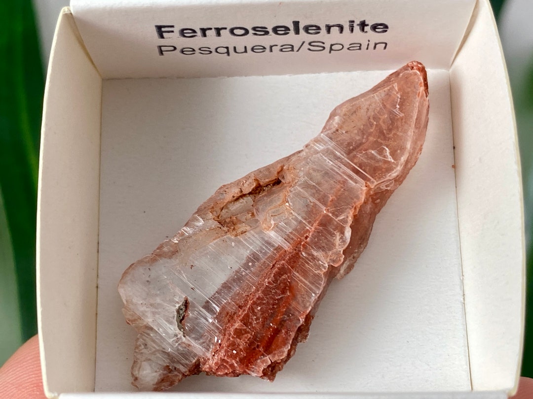 Very Rare Ferro Selenite From La Pesquera, Cuenca,castile-la Mancha ...