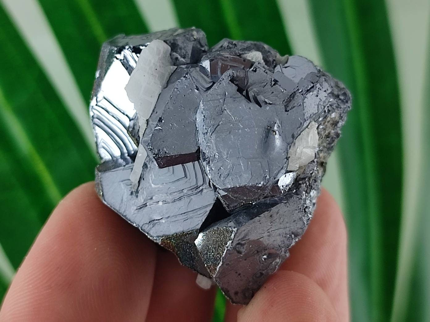 Cubes Galena From Krushev Dol Minemadan Ore Fieldrhodope - Etsy