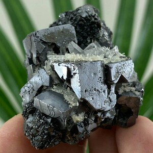 Beautiful Lustrous Galena From Borieva Mine,madan Ore Field,rhodope Mts ...