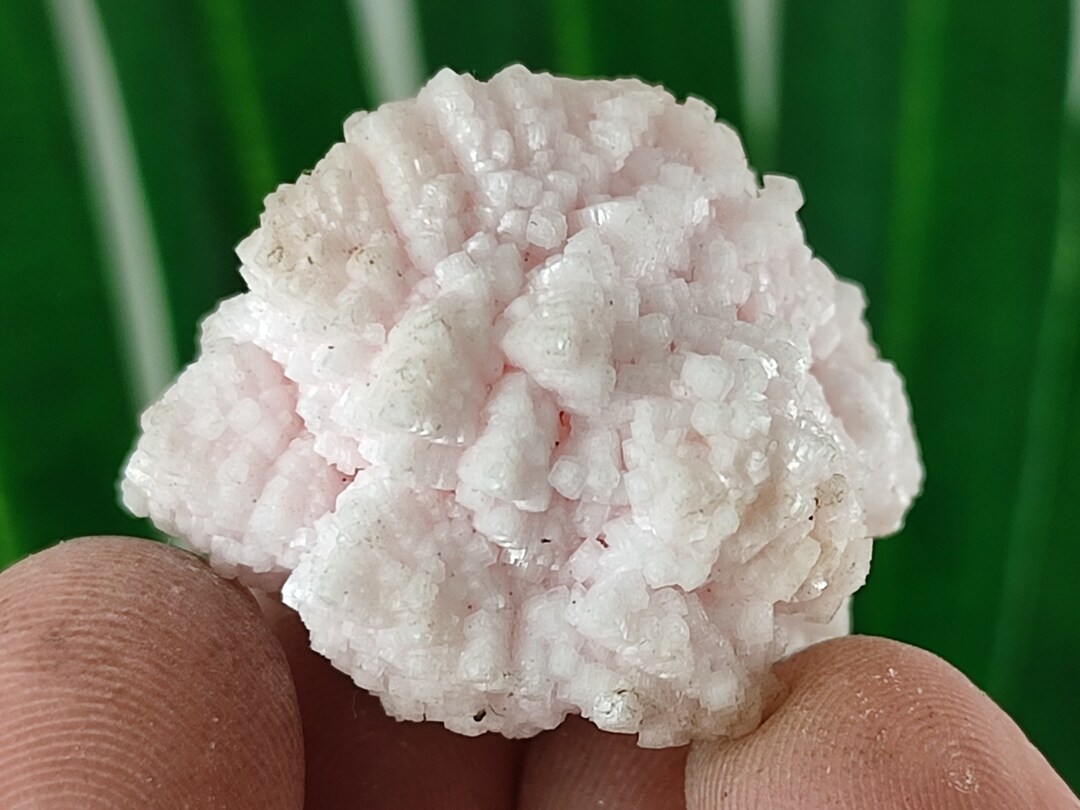 Rare Mangano Calcite From Krushev Mine,madan Ore Field,rhodope Mts ...