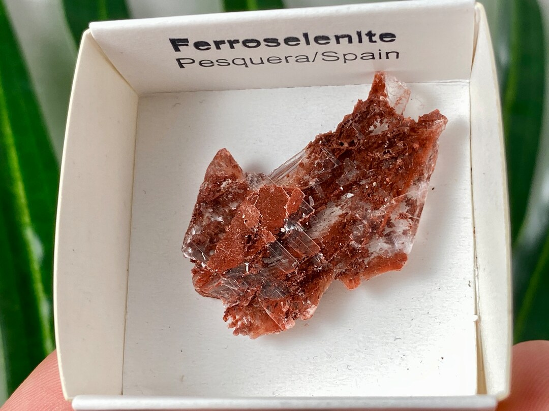 Very Rare Ferro Selenite From La Pesquera, Cuenca,castile-la Mancha ...
