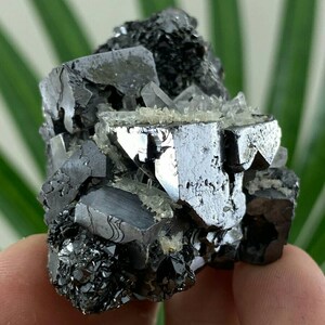 Beautiful Lustrous Galena From Borieva Mine,madan Ore Field,rhodope Mts ...