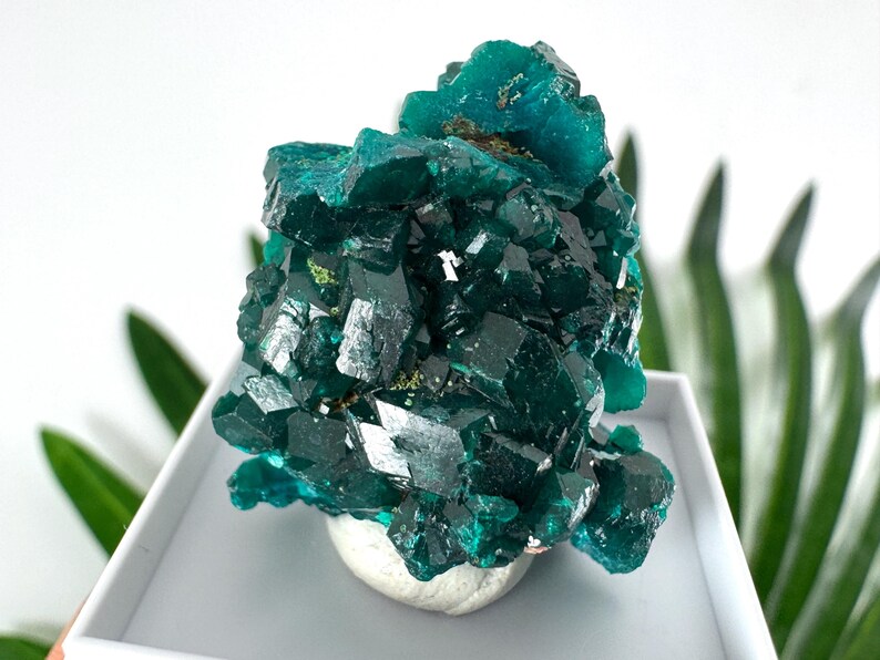 Beautiful Green Dioptase From Sanda Hills,mindouli,pool Department ...