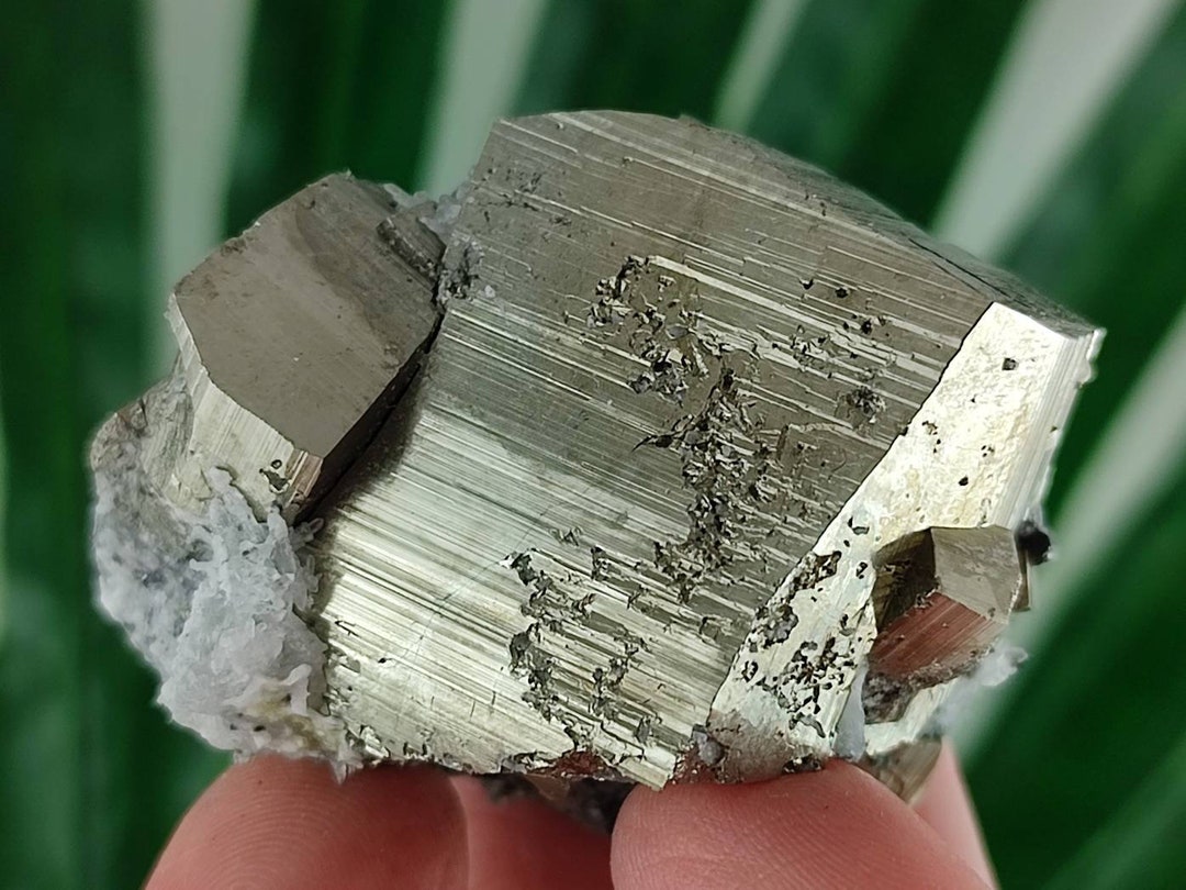 Amazing Pyrite With Quartz From Borieva Mine,madan Ore Field,rhodope ...