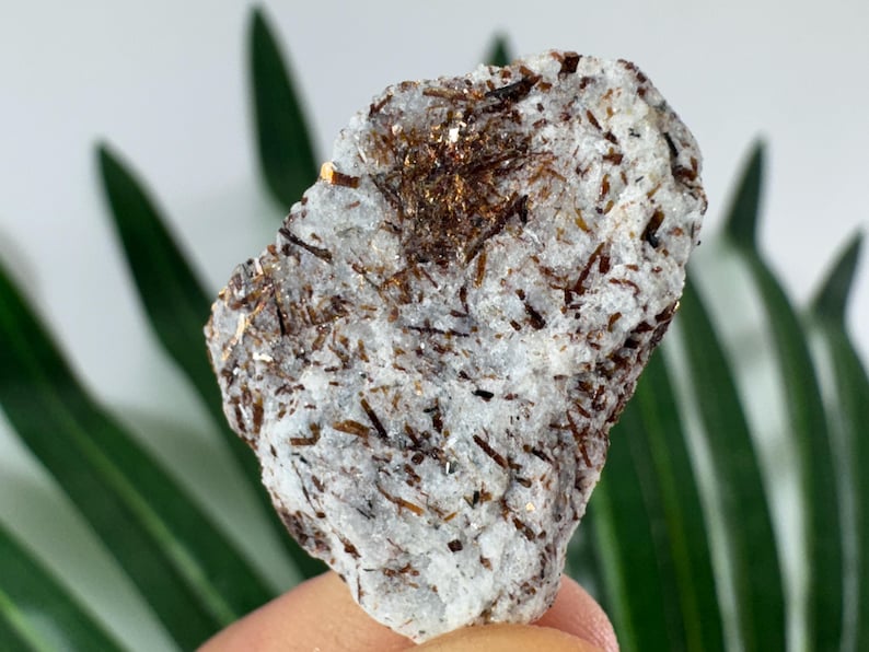 Astrophyllite: Russia – Natural Mineral With Bronze-gold Shine,mineral ...